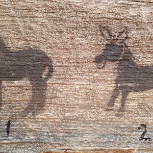 Always Kiss Your Donkeys Goodnight Donkey Love Donkey Sign Repurposed ...
