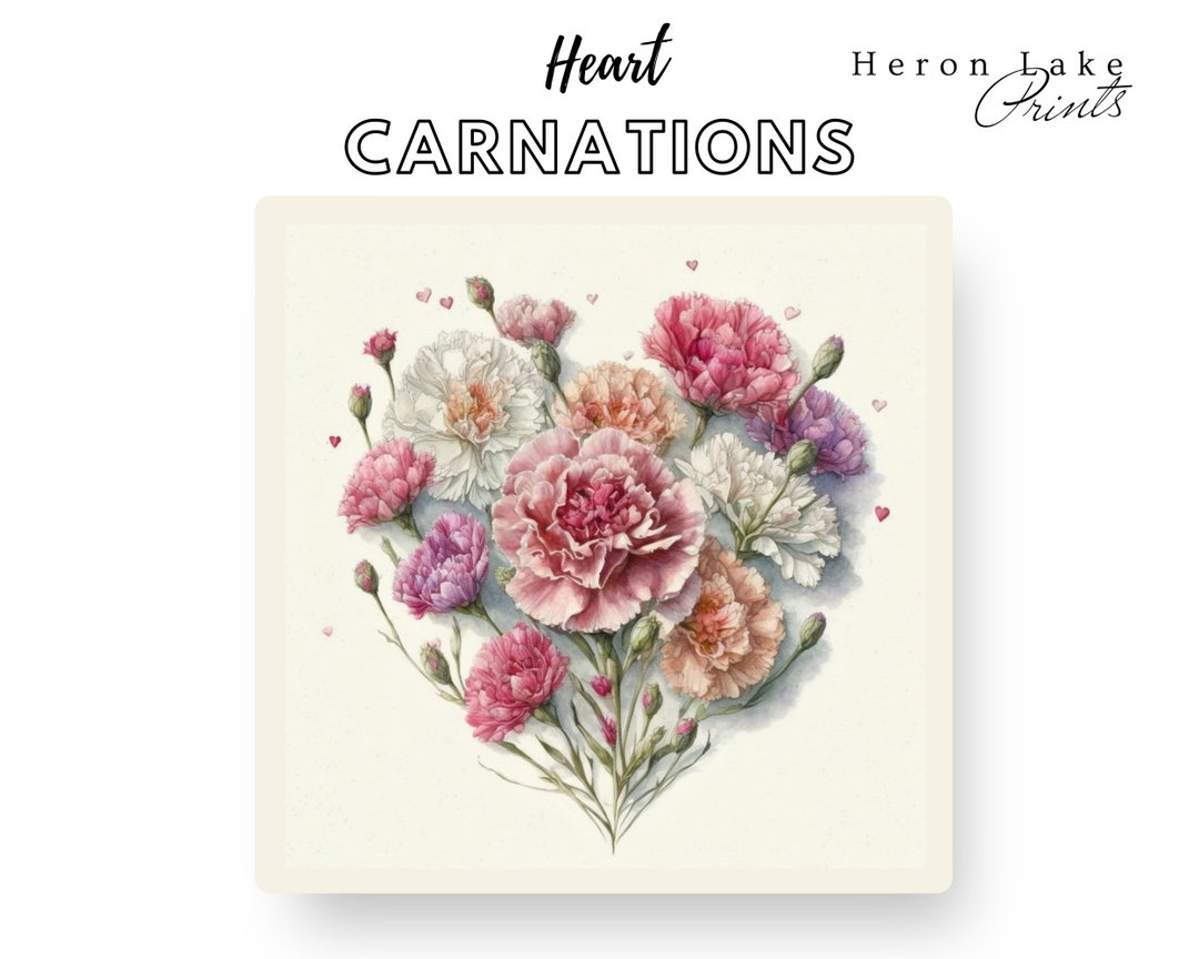 HEART Pink Carnations Printable Art Illustration Download, Valentine's ...