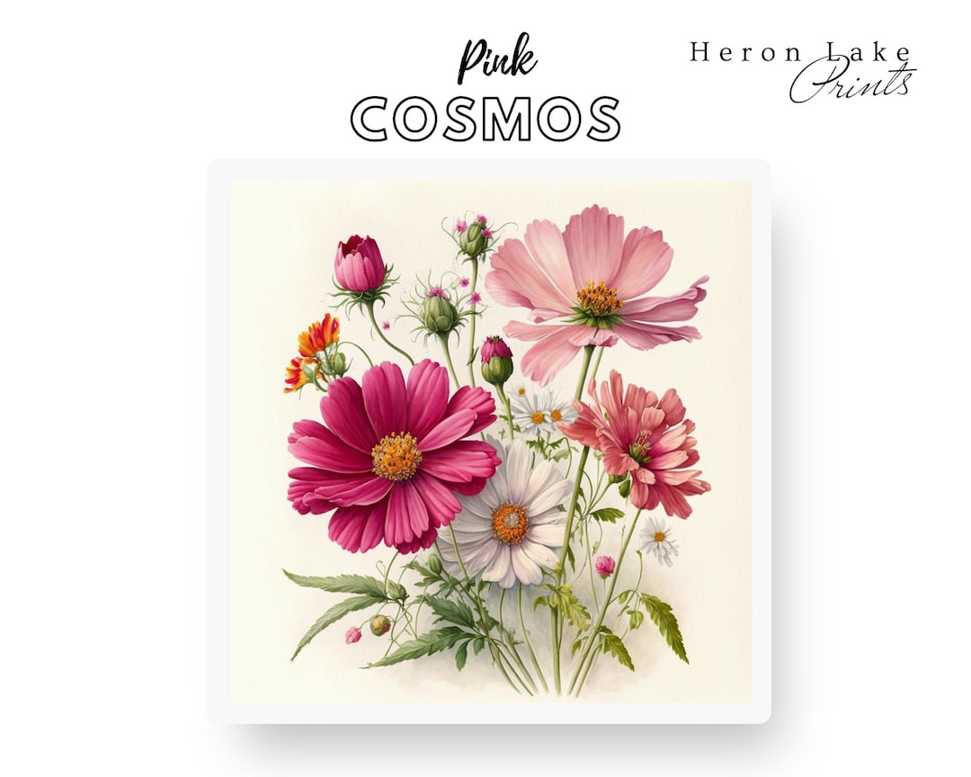 Pink Cosmos Printable Art Illustration Download, Valentine's Day, Print ...