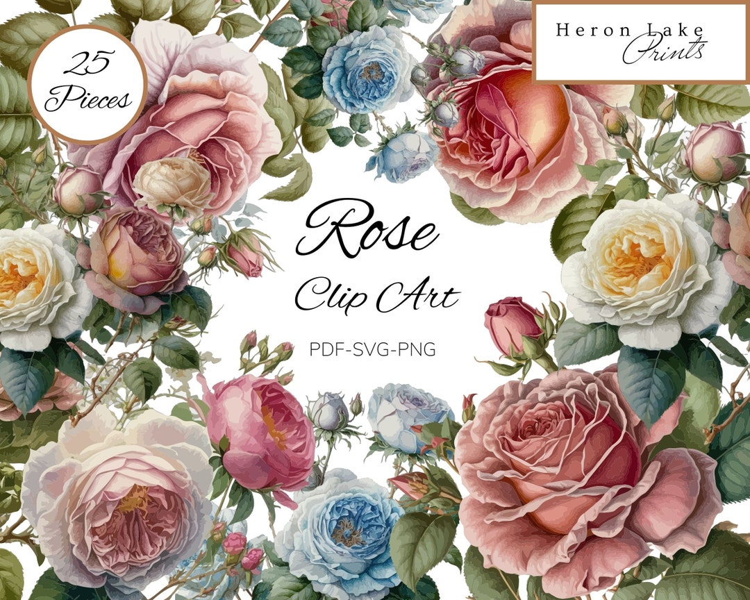 Shabby Chic Rose Clip Art: 25 Piece Set (PNG-SVG-PDF) - Etsy UK