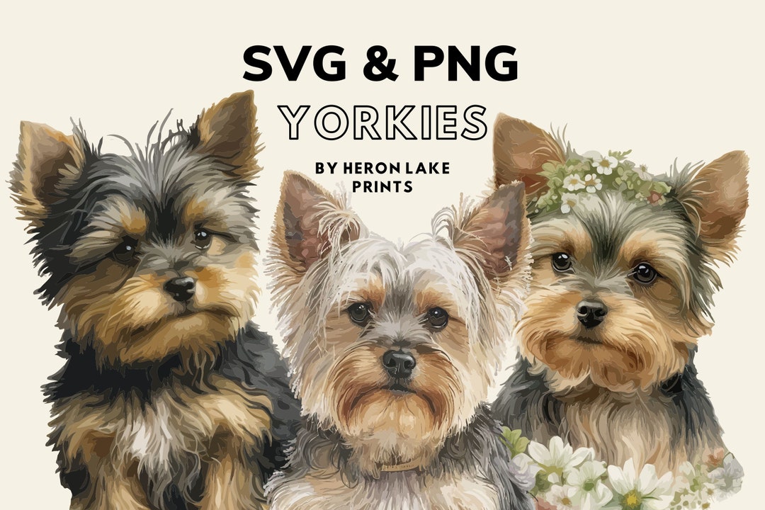 Yorkshire Terrier, Yorkie Dog Clip Art, Set of Three, SVG & PNG, for ...