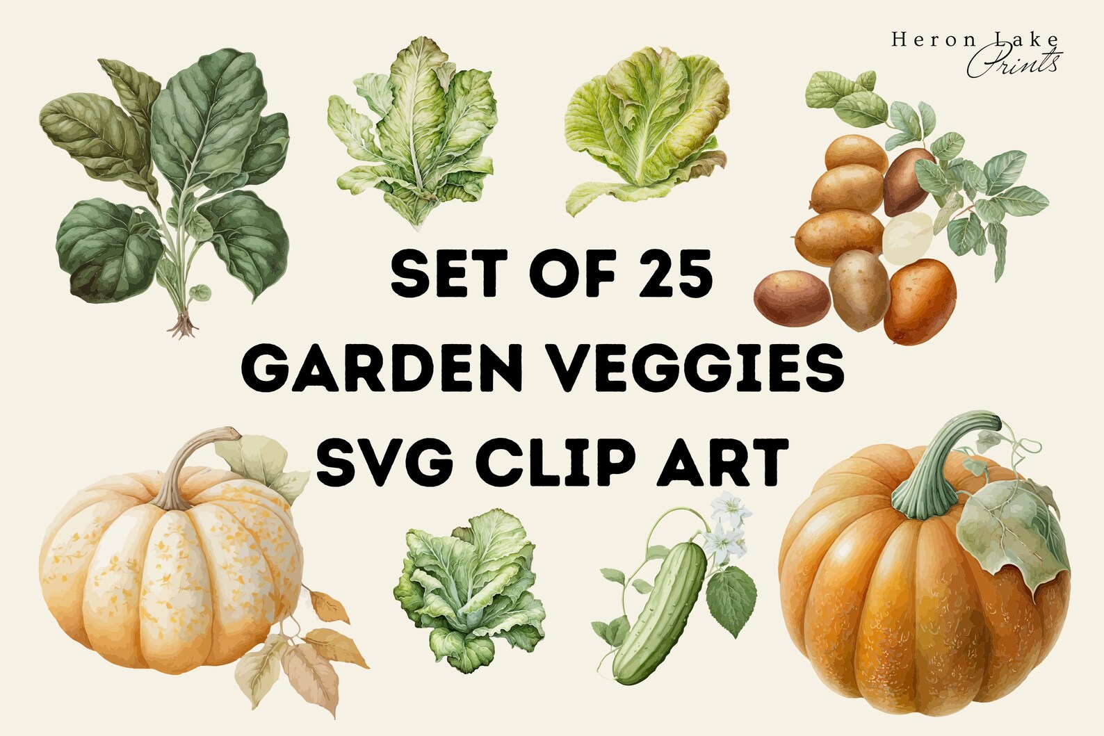 Vintage Veggie Garden SVG Bundle: Botanical Vegetable Graphics (25 ...