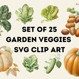 25 Vintage Inspired Veggie Garden Svgs Bundle, Garden Vegetable ...