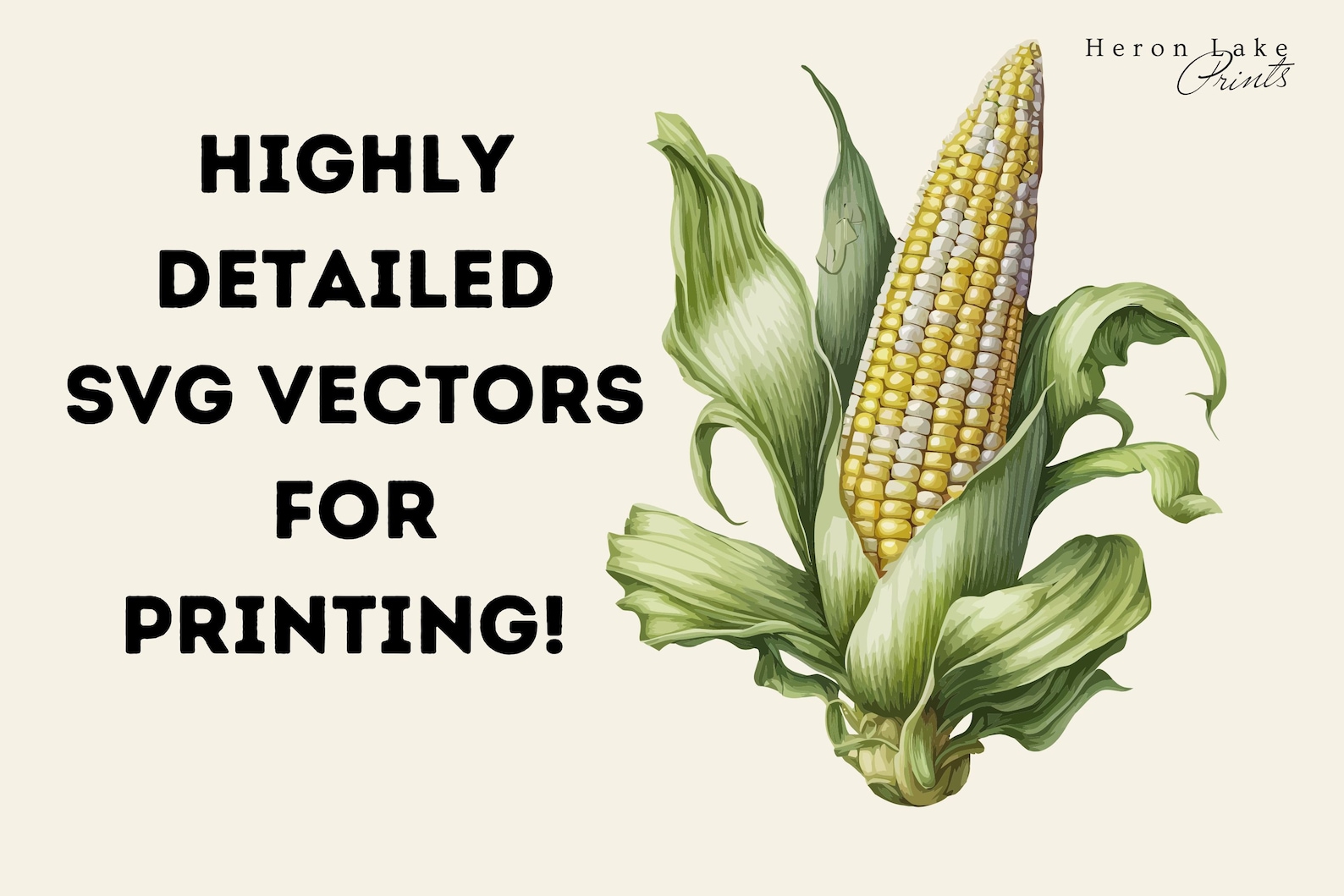 Vintage Veggie Garden SVG Bundle: Botanical Vegetable Graphics (25 ...
