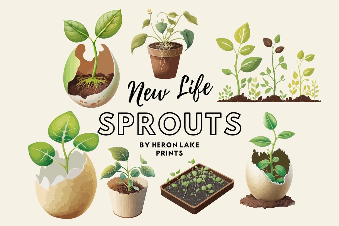 7 Seedlings-sprouts Clipart Vector Set-svgs and Pngs Sprouts - Etsy ...