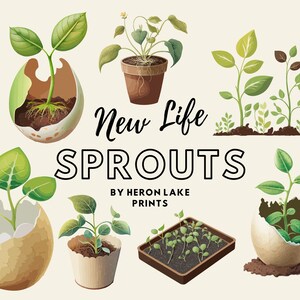 7 Seedlings-sprouts Clipart Vector Set-svgs and Pngs Sprouts in 3 ...
