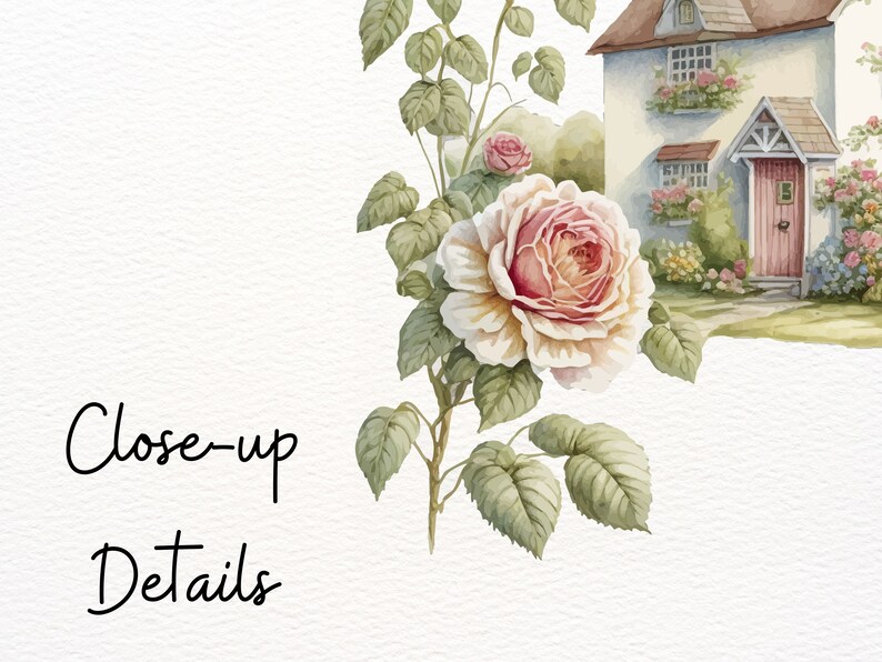 Cottage Garden Floral Clip Art: Shabby Chic SVG, PDF, PNG (6 Files) - Etsy