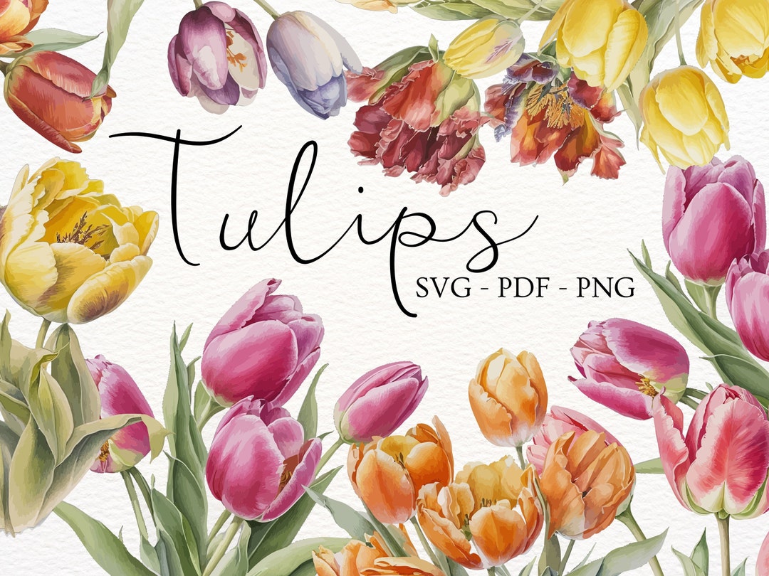 14 Spring Tulips Clipart Set, SVG-PDF-PNG, Classic and Parrot Tulips ...