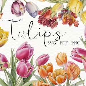 14 Spring Tulips Clipart Set, SVG-PDF-PNG, Classic and Parrot Tulips ...