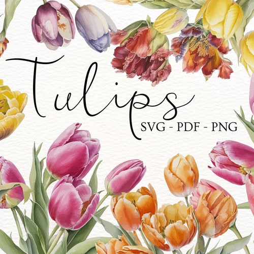 14 Spring Tulips Clipart Set SVG-PDF-PNG Classic and Parrot - Etsy