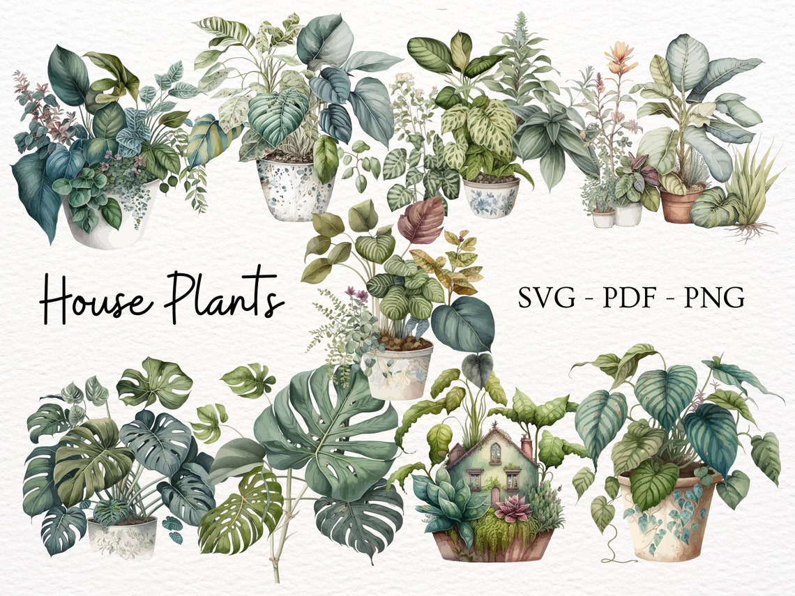 House Plants Clip Art in SVG, PDF, and PNG Formats. Potted Plants ...