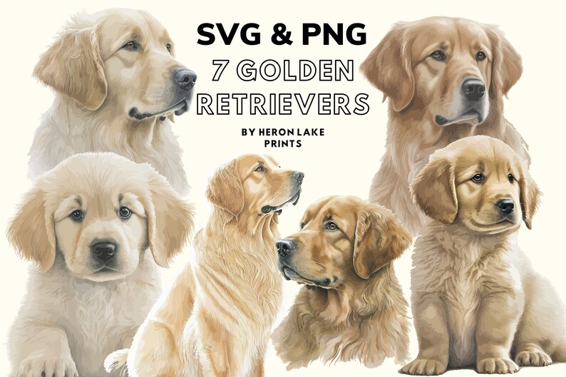Golden Retriever Dog Clip Art Set of Seven SVG & PNG for - Etsy