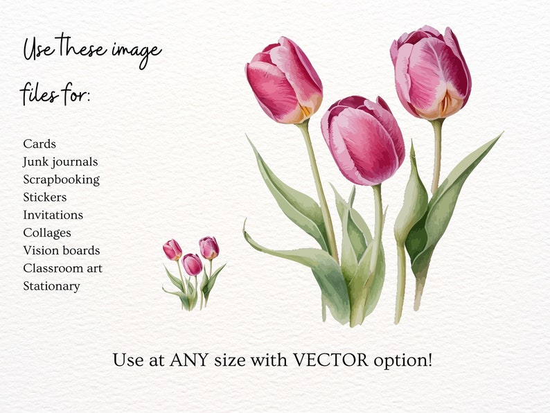 14 Spring Tulips Clipart Set SVG-PDF-PNG Classic and Parrot - Etsy