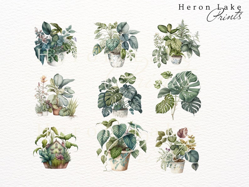 House Plants Clip Art in SVG, PDF, and PNG Formats. Potted Plants ...