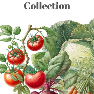 25 Vintage Inspired Veggie Garden Svgs Bundle, Garden Vegetable ...