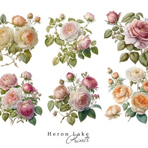 Shabby Chic Rose Clip Art: 25 Piece Set (PNG-SVG-PDF) - Etsy Australia