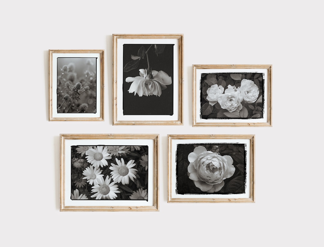 PRINTABLE Five Image 3x4 Black and White Floral Wall Art Gallery, White ...