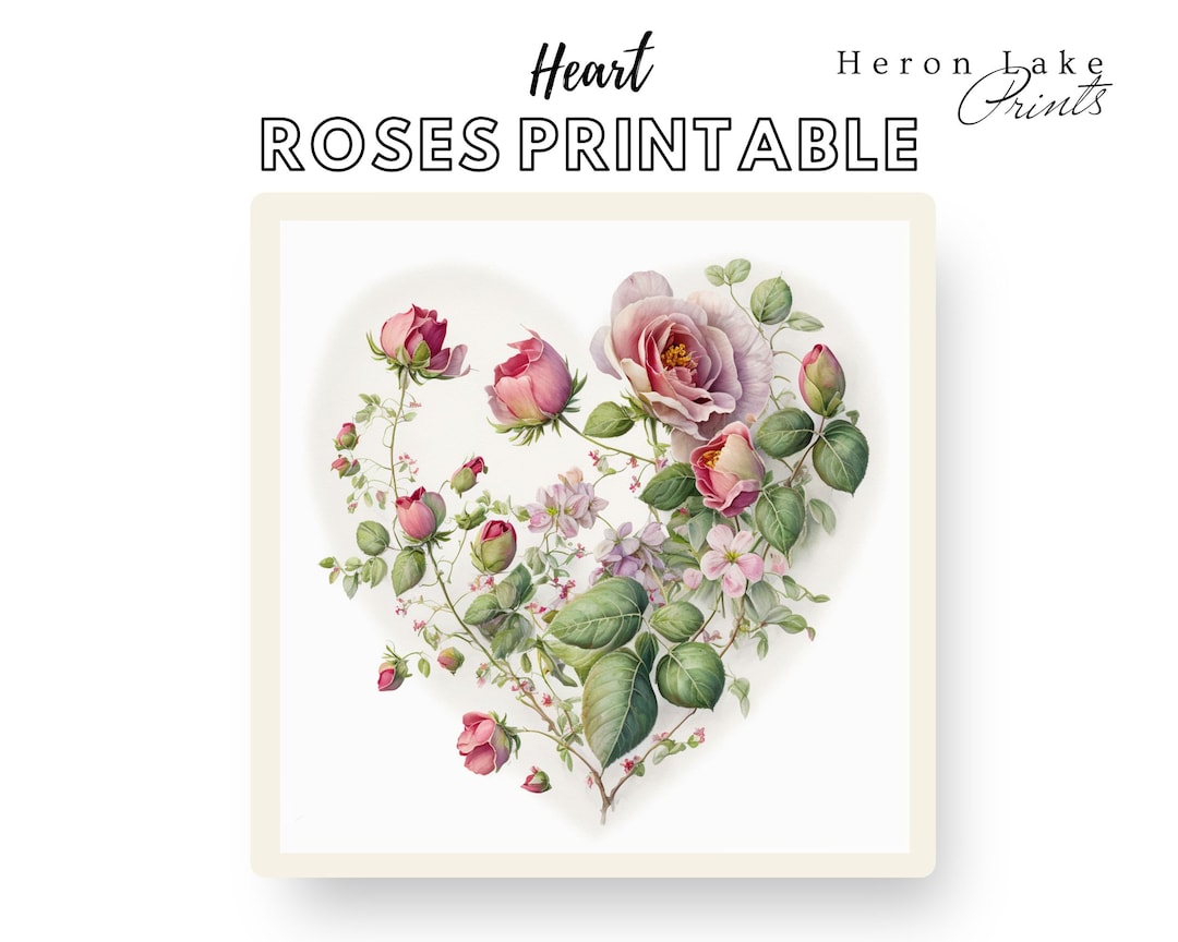HEART Pink ROSES Printable Art Illustration Download, Valentine's Day ...