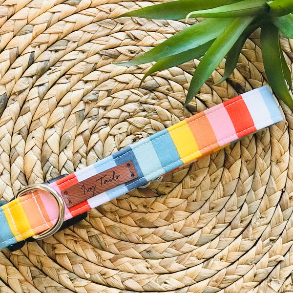 Colorful Dog Collar - Etsy
