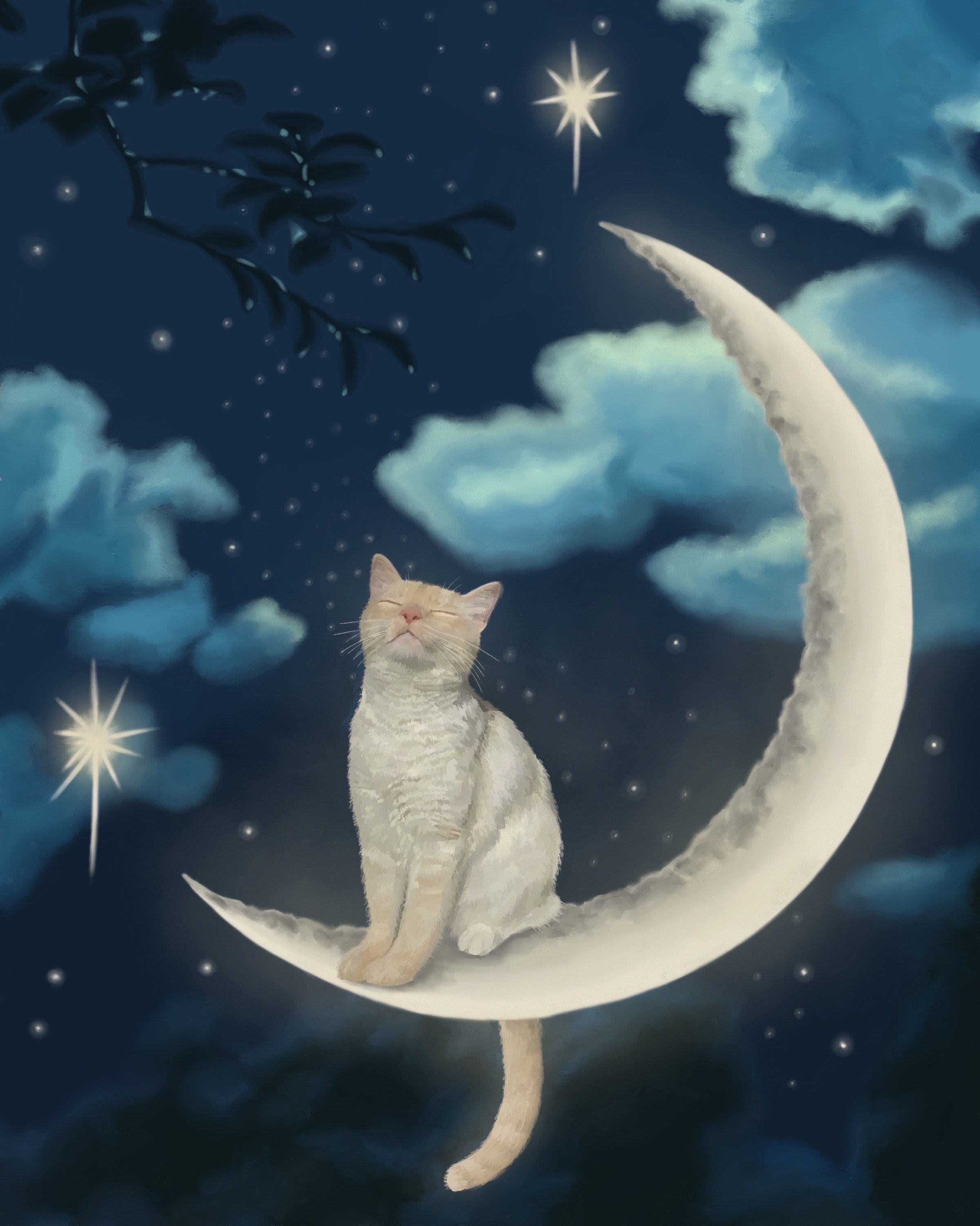 Moon Cat Art Print - Etsy