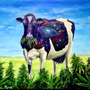 Cow Eating Marijuana Plants in a Field. Having a Cosmic Galaxy ...