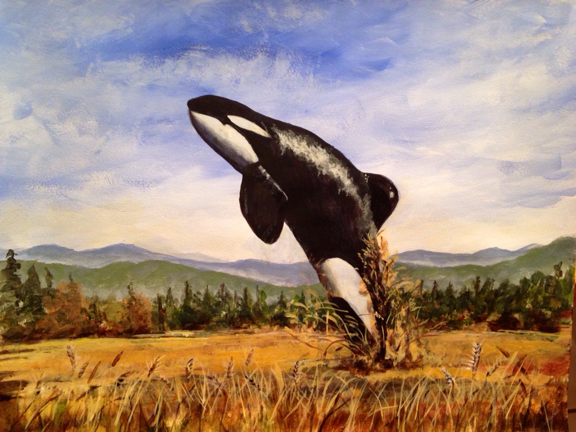 Orca Pod Breaching