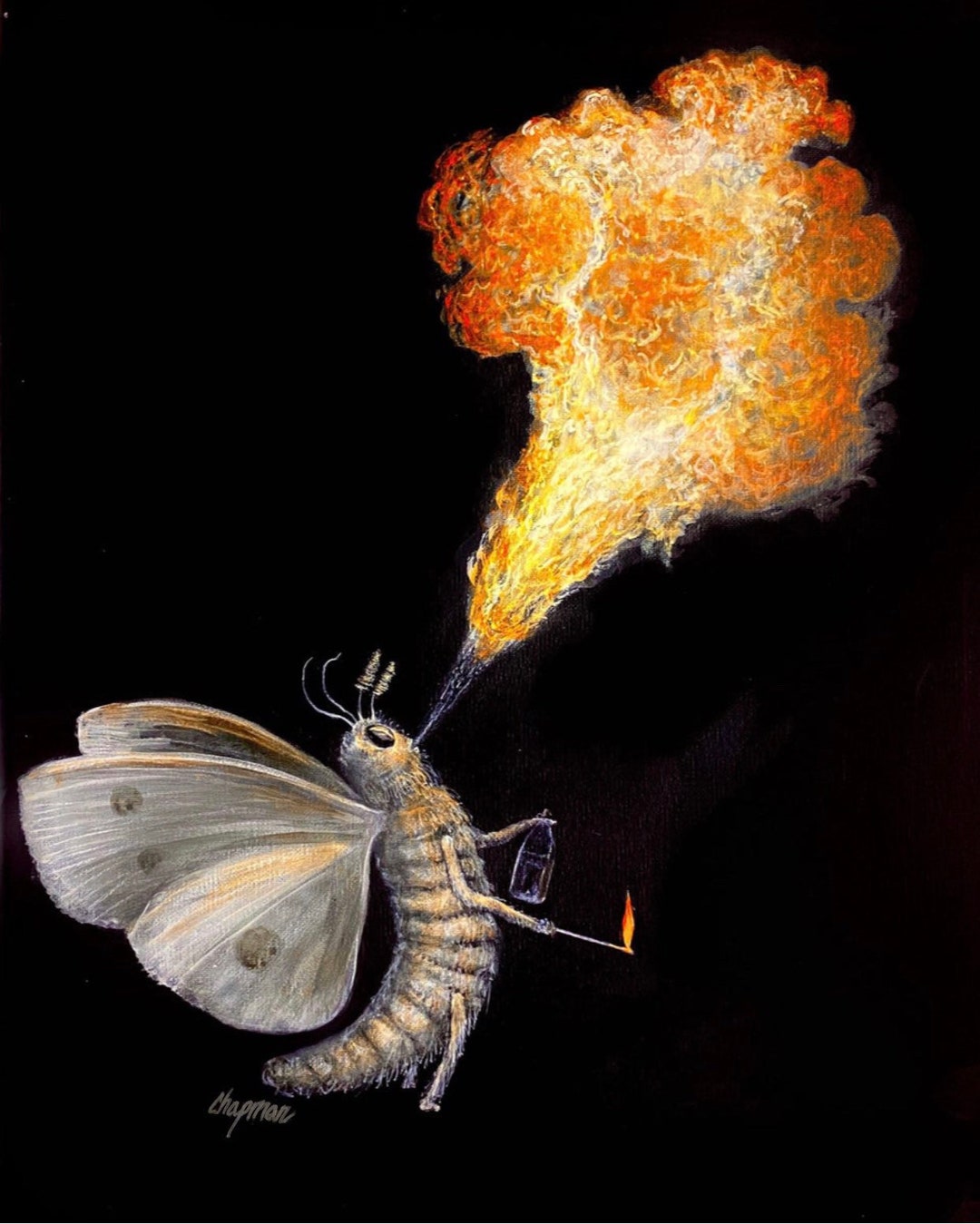 Moth Breathing Fire Mothias the Fire Breathing Moth. Artist Signed ...