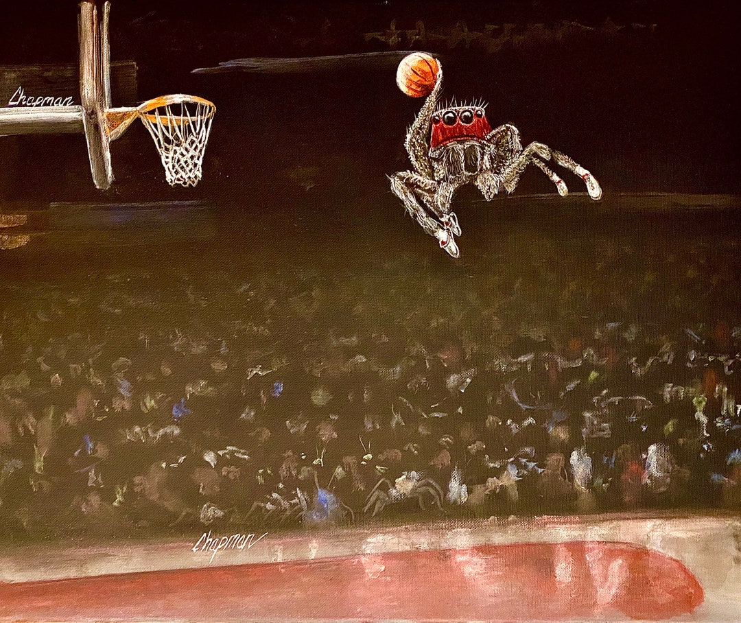 Jordan Jumping Spider Dunking a Basketball. Spider Gets Air. Artist ...