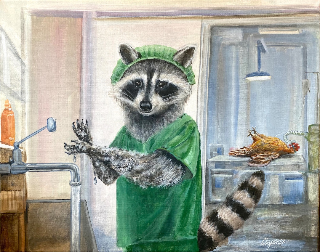 Dr. Cleanpaws. Raccoon Surgeon Washing up Before Giblectomy Surgery ...