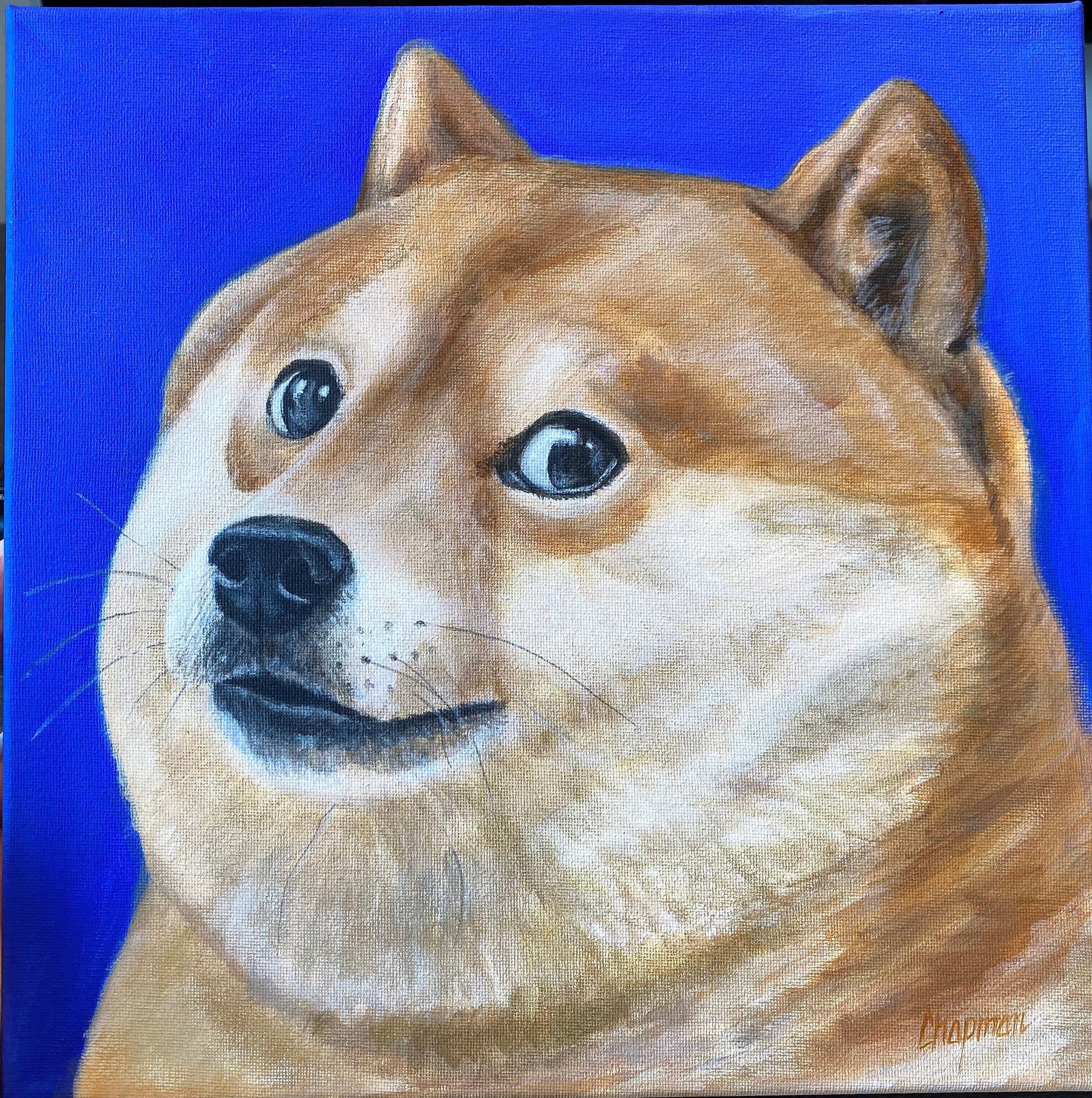 Shibe Doge Meme Wallpaper