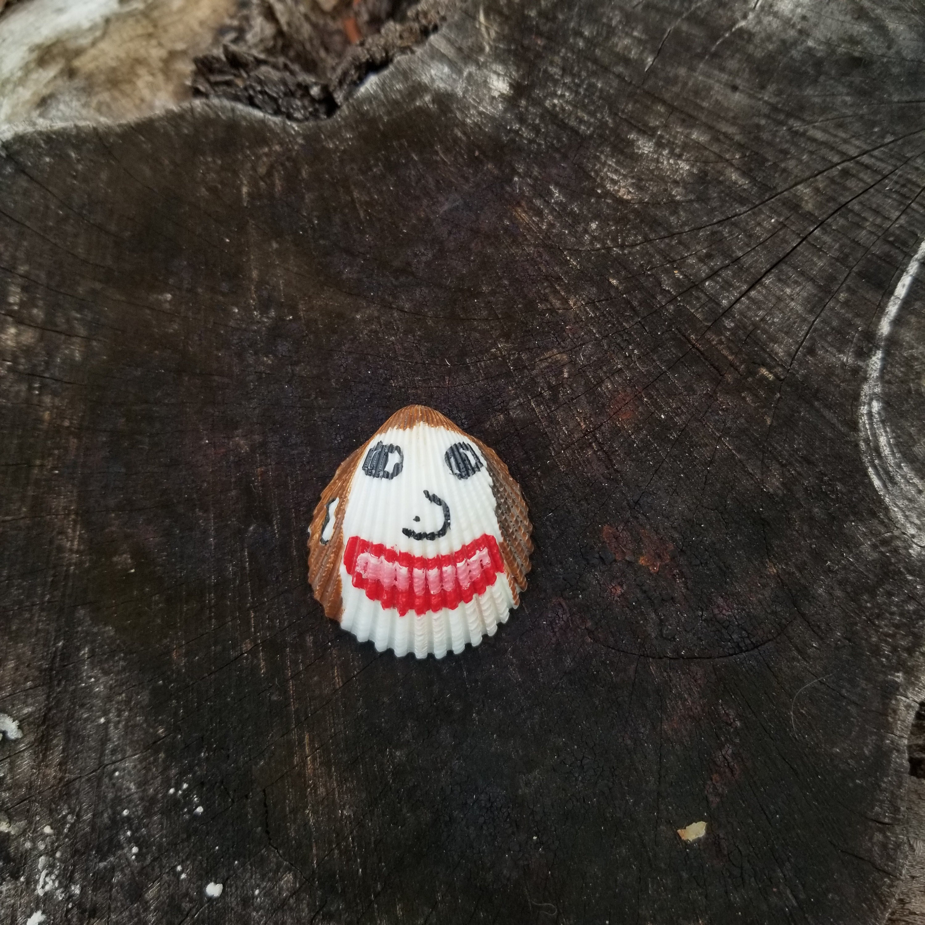 Silly Smiley Face Painted Shell Gift - Etsy