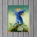 BLUEBERRY DRAGON Print 4x6, 8.5x11, or 11x14 - Etsy
