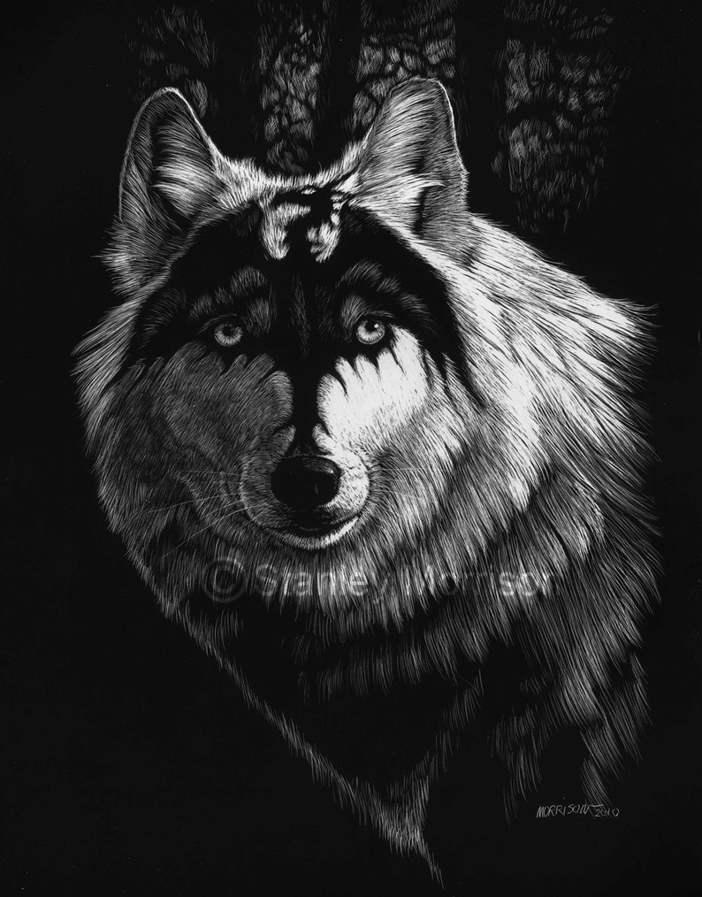 Dragon Wolf Scratchboard Art Print, Fantasy Wildlife - Etsy