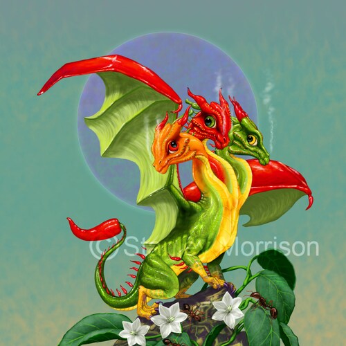 GARLIC DRAGON Print 4x6 8.5x11 or 11x14 Dragon Art Dragon - Etsy