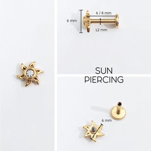 Sword Bat Spider Sun Moon Heart Piercing . Helix Tragus Lobe Snug Conch ...