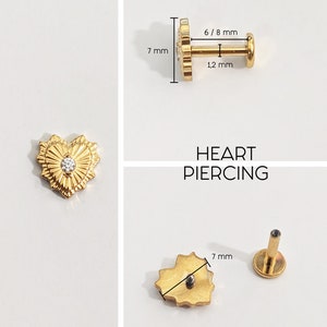 Sword Bat Spider Sun Moon Heart Piercing . Helix Tragus Lobe Snug Conch ...