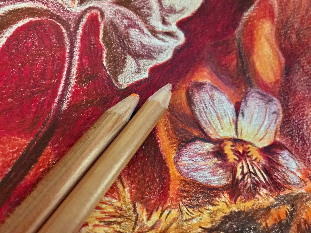 Color Pencil Drawing on Watercolor Paper - Etsy