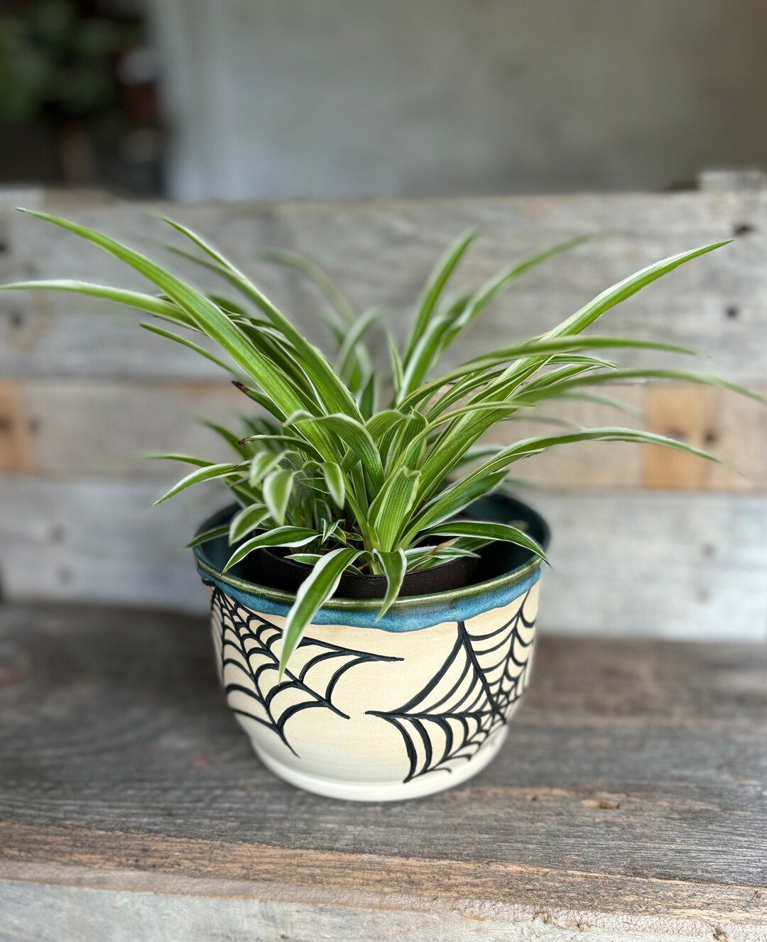 Halloween Spider Web Bowl Planter Handmade Stoneware Pottery - Etsy