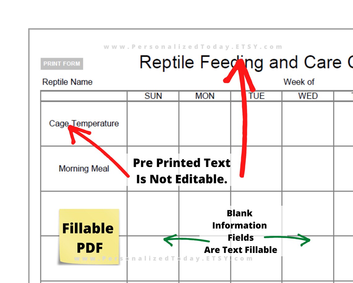 Reptile Feeding and Care Chart Text Input Fillable and - Etsy