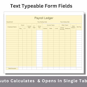 Google Sheets Payroll Ledger With Deductions Text Fillable / Text ...