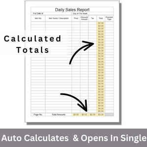 Daily Sales Summary Item Revenue Chart Income Tracking Activity Report ...