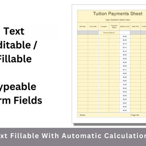Google Sheets Tuition Payments Tracker - Student Tuition Amounts Due ...
