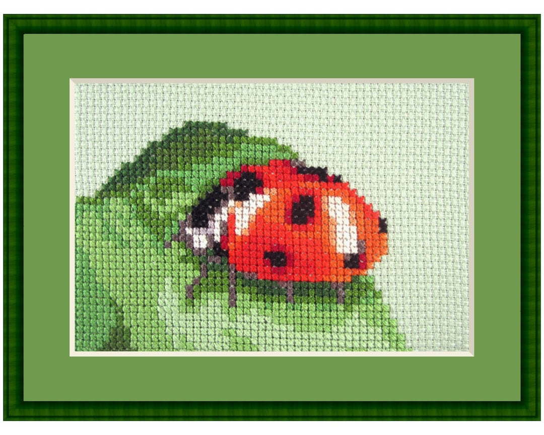 Lady in Red, Counted Cross Stitch Kit, Ladybug, Insect, Cute, Small ...
