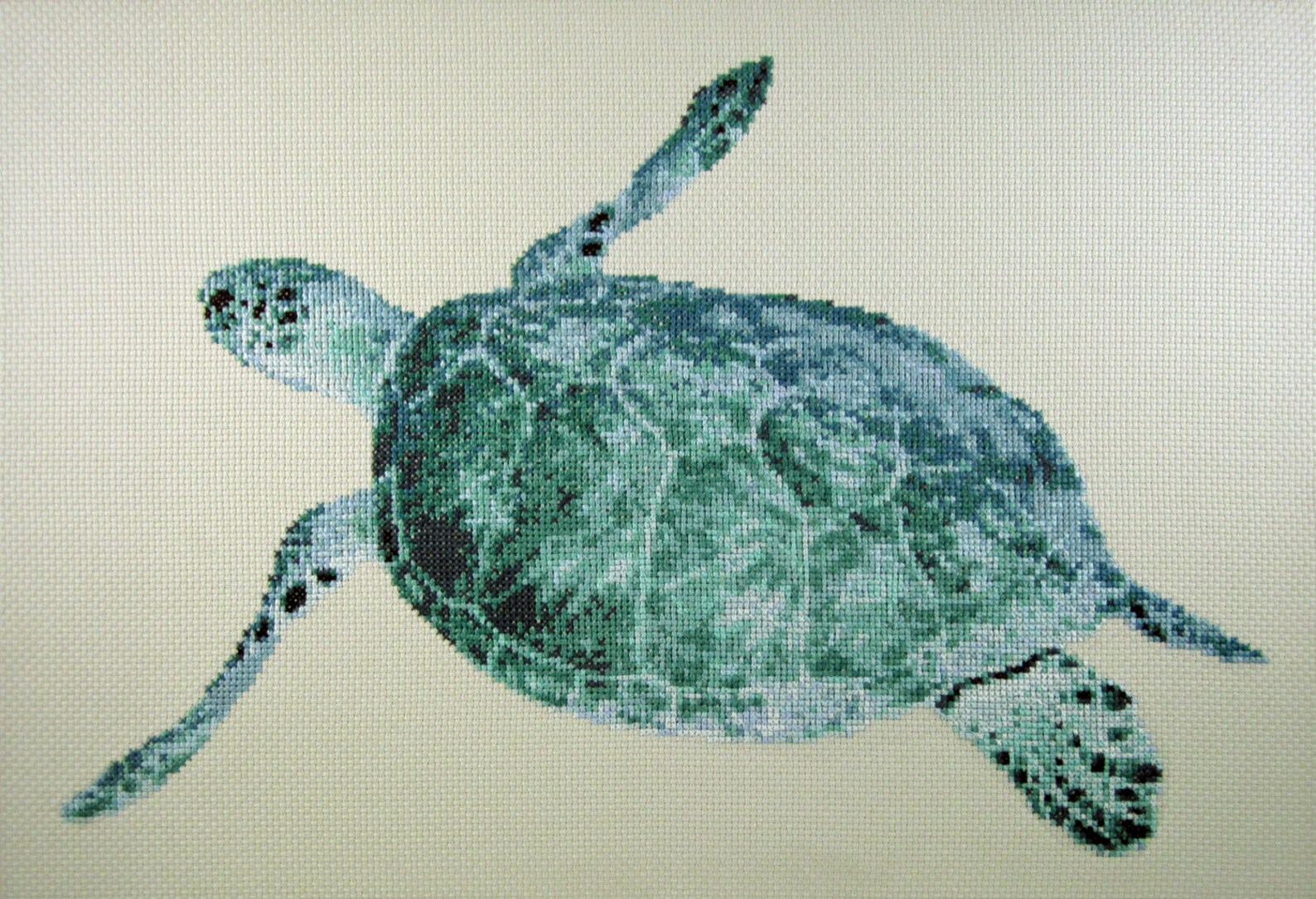 Turtle Ocean Cross Stitch Kit Sea Turtle | Etsy