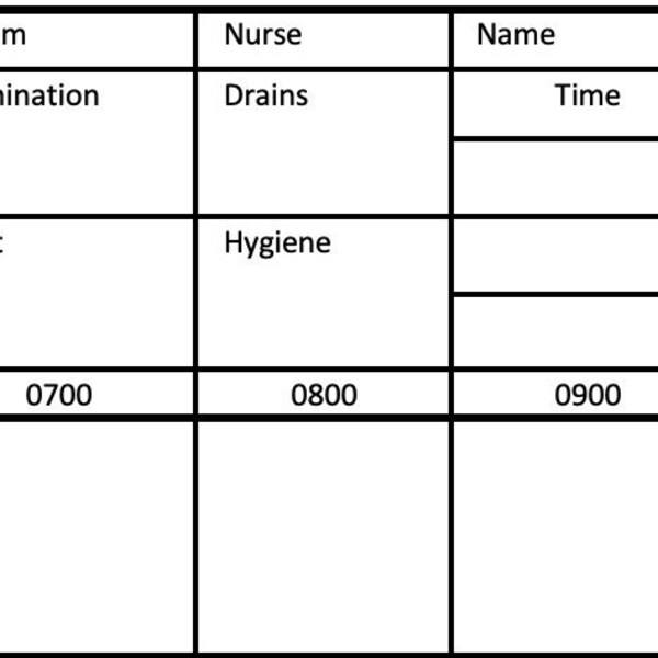 Patient Care Tech Report Sheet - Etsy