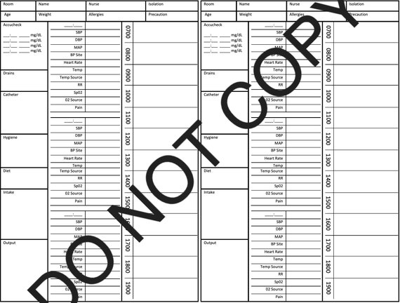 CNA/Tech/Nurse Brain Sheet 2 Patient | Etsy