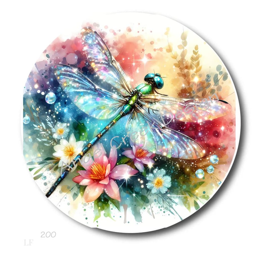 Dragonfly Stickers, Dragon Fly Stickers, Dragonfly Scrapbook Stickers ...