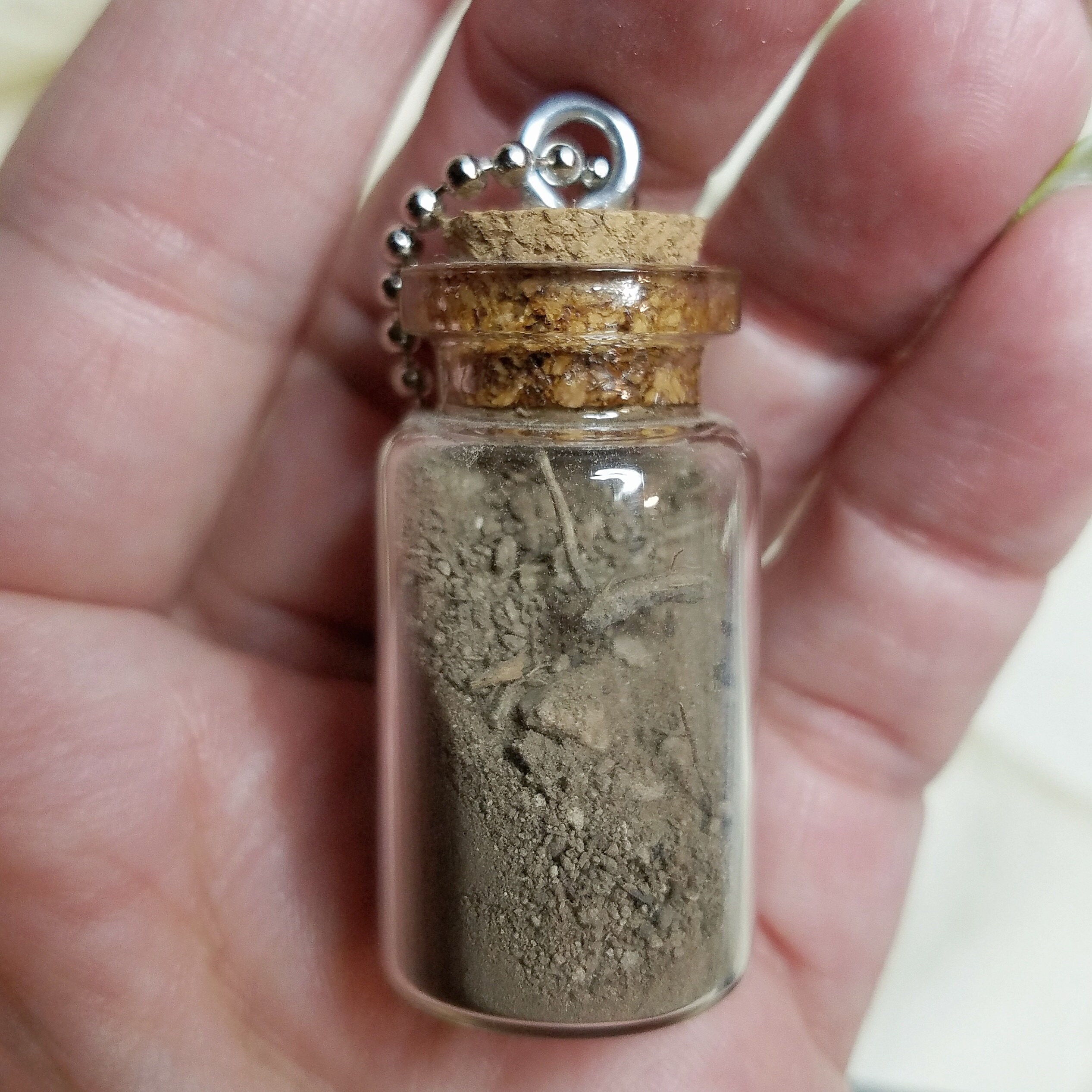 Roswell New Mexico UFO Crash Site Dirt Soil Sample Oddity - Etsy