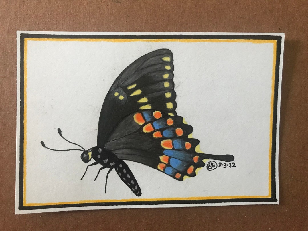 Hand Drawn Black Swallowtail Butterfly Art - Etsy