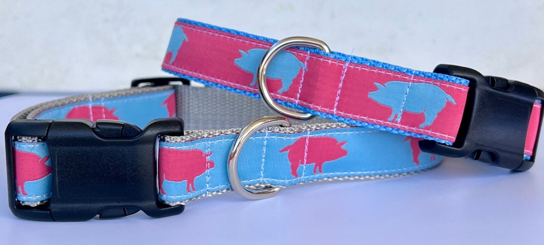 Pig Collar- Pink or Blue Pig Nylon Collar, Quick Release Buckle - Etsy